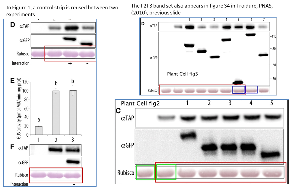Susana Rivas: a new research integrity scandal in French plant sciences ...
