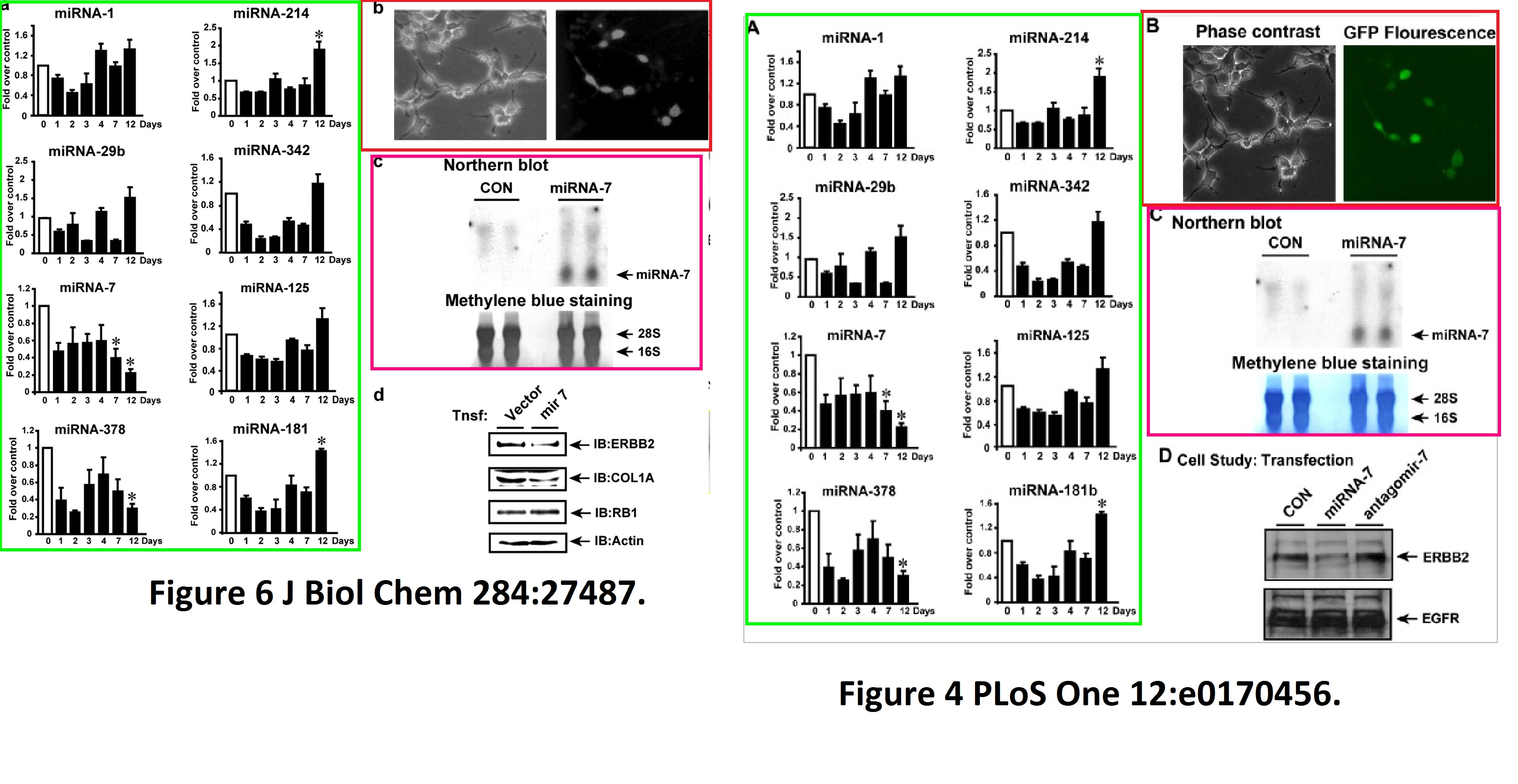 PLOS One publishes near-copy of retracted JBC paper, sans coauthor ...