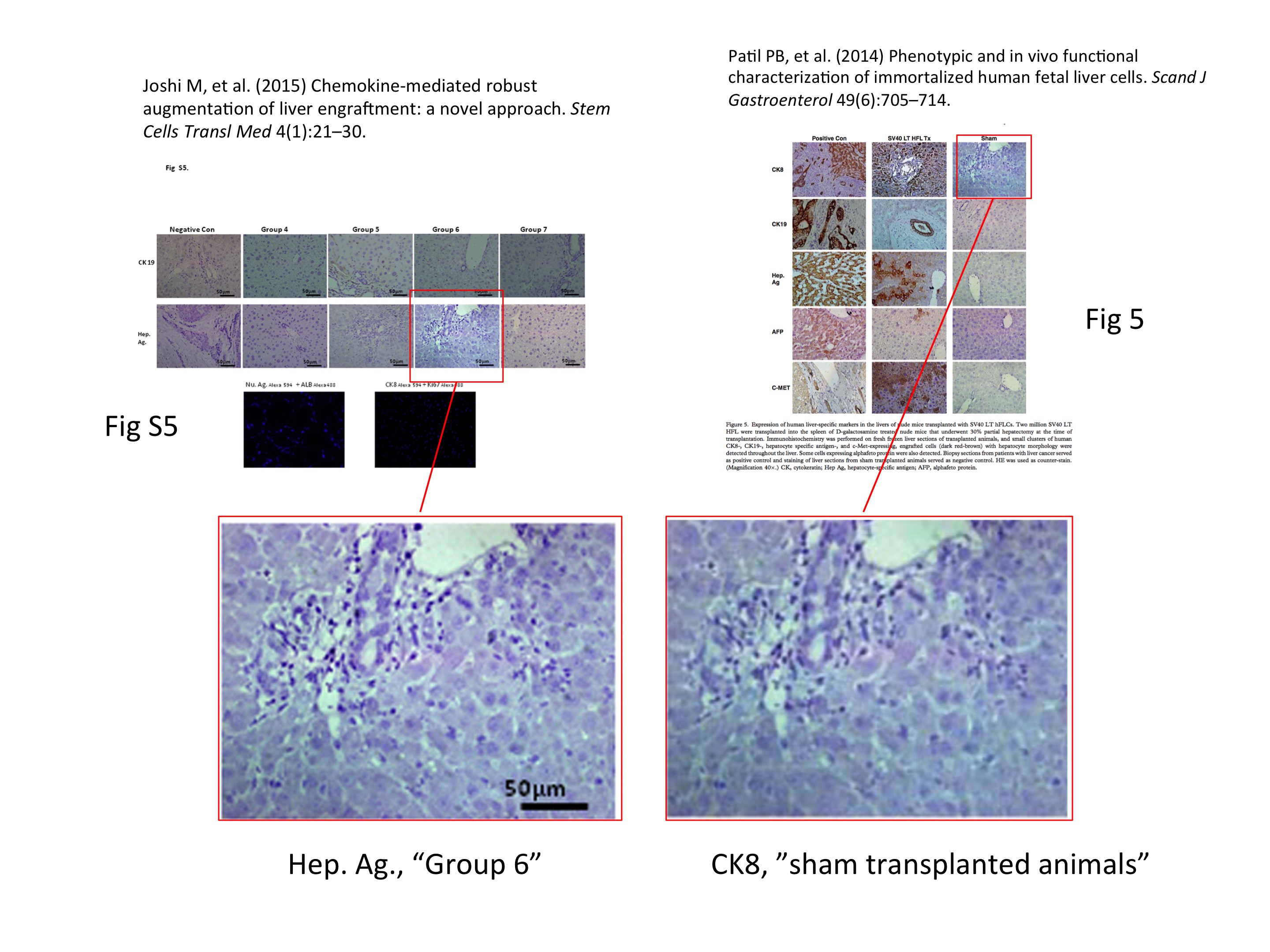 Sumitran-Holgersson and Olausson to retract 8 papers for research ...
