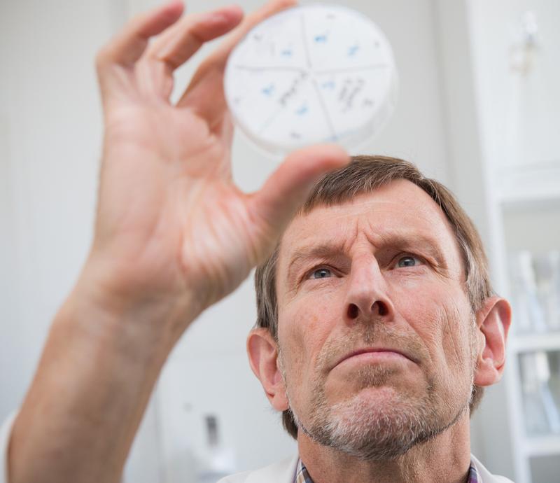 Lill space-time-blot anomaly in Marburg – For Better Science