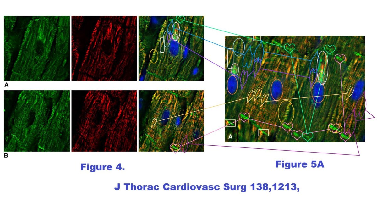 David Latchman, the reckless Master of Birkbeck – For Better Science