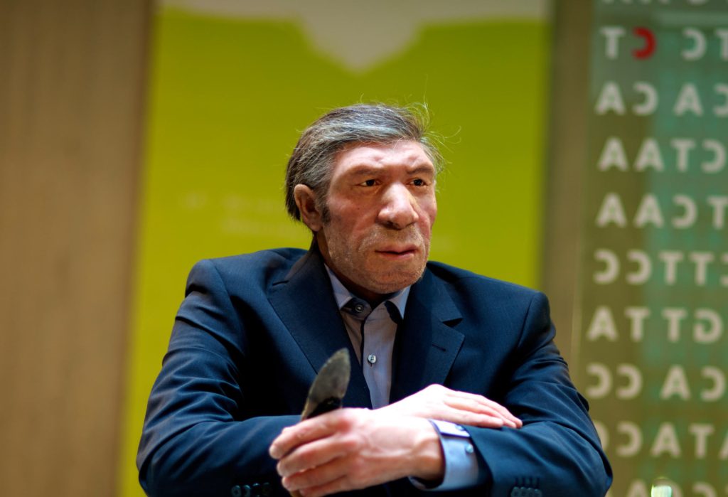 The anti-social mini-brains of Neanderthals – For Better Science