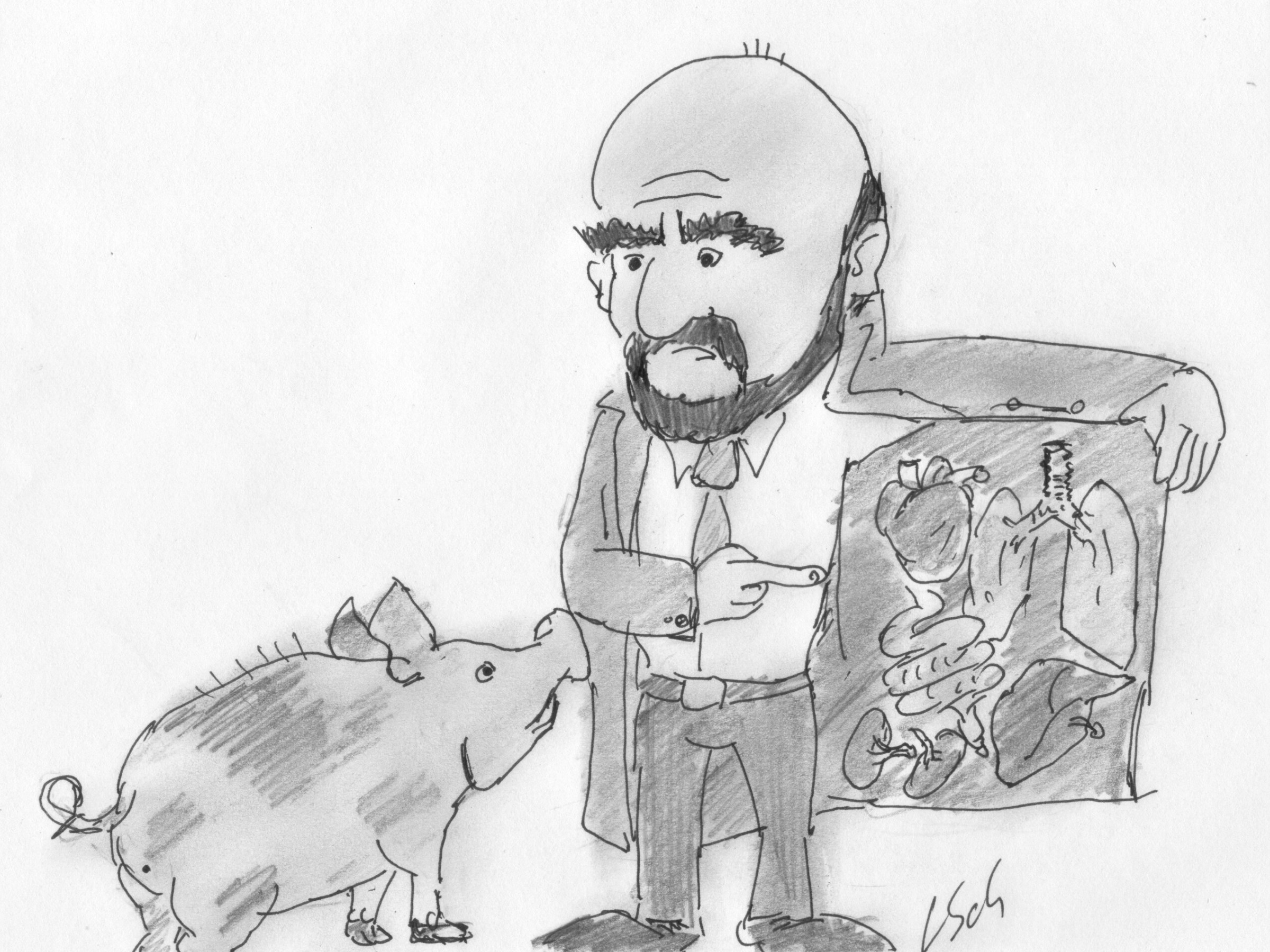 Macchiarini’s trachea transplant patients: the full list – For Better ...