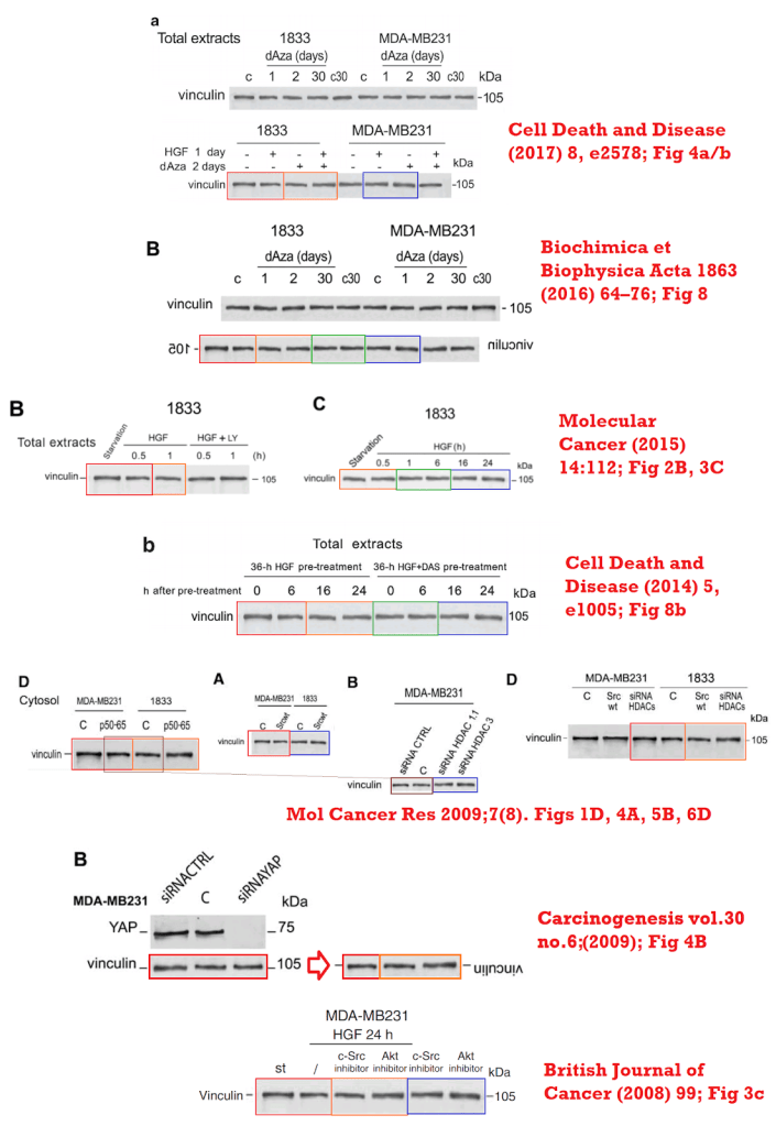 Alfonsina Desiderio and her pathological Bully Boys – For Better Science