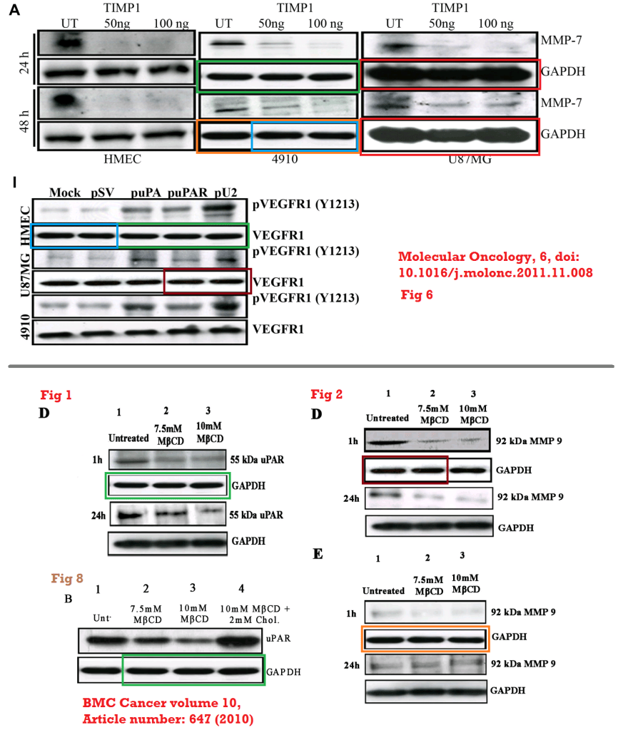 Nasty Jasti Rao, or what’s wrong with US biomedicine – For Better Science