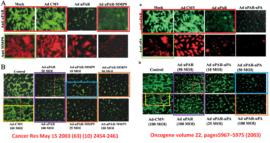 Nasty Jasti Rao, or what’s wrong with US biomedicine – For Better Science