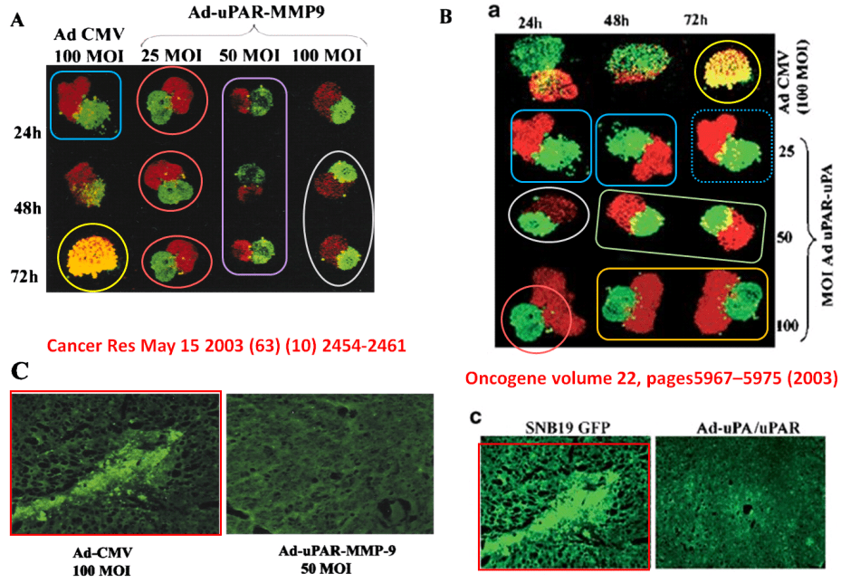 Nasty Jasti Rao, or what’s wrong with US biomedicine – For Better Science