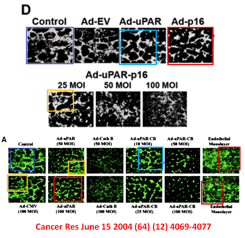 Nasty Jasti Rao, or what’s wrong with US biomedicine – For Better Science