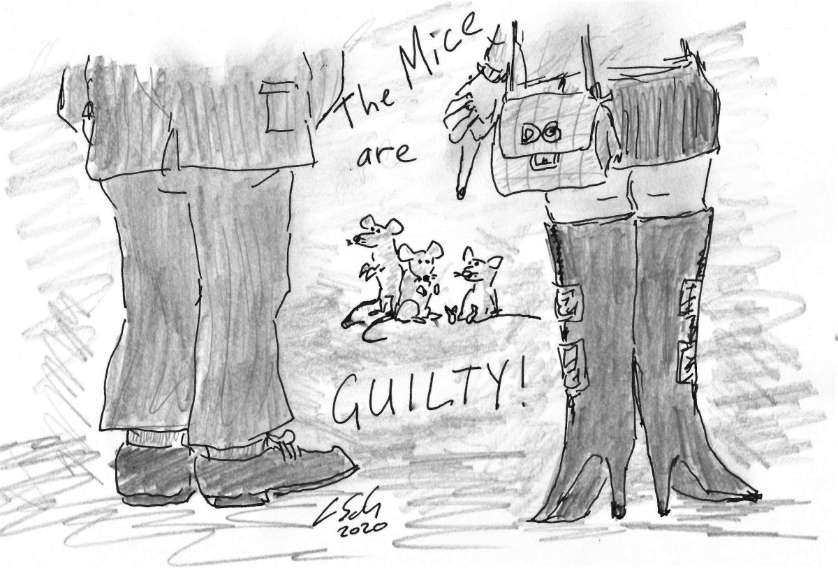 Bologna mice guilty of research misconduct – For Better Science
