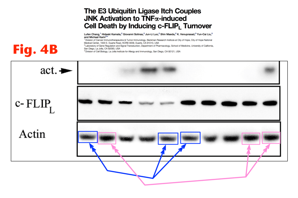 AACR conjures undead Count Fakula Michael Karin – For Better Science