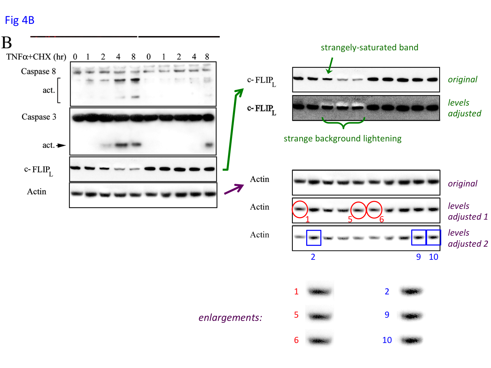 AACR conjures undead Count Fakula Michael Karin – For Better Science