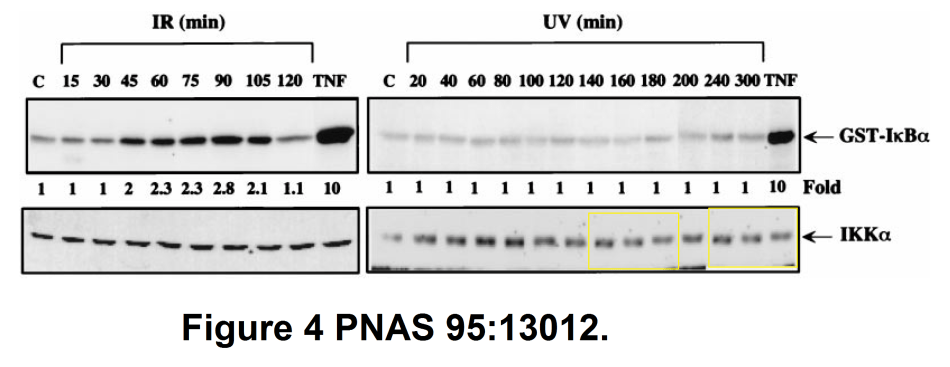 AACR conjures undead Count Fakula Michael Karin – For Better Science