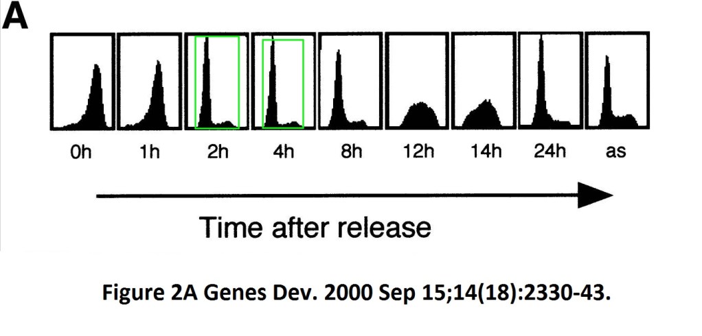 Kristian Helin gets the perfect job – For Better Science