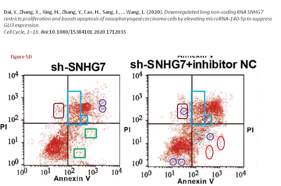Cell Cycle of Angry Axe-Wielding Tribbles – For Better Science