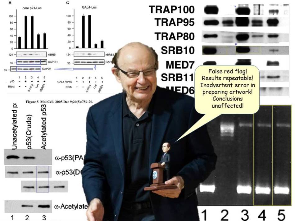 The original sins of Leonard Guarente – For Better Science
