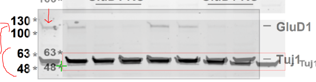 Science moves forward with productive and meaningful activities – For ...