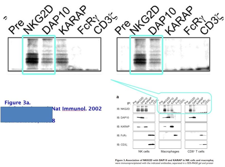 A scientist of integrity and beyond reproach – For Better Science
