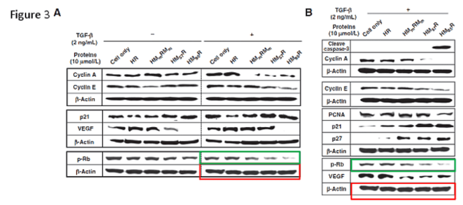 Schneider Shorts 28.03.2025 – You can be forgiven even in failure – For ...