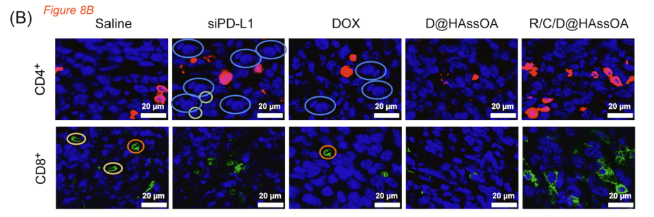 The Miracle-Polymer-Dumbsterfire – For Better Science